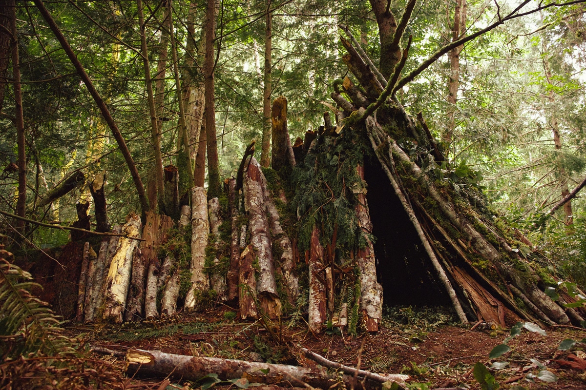 Techniques de Survie en Forêt à connaître absolument [GUIDE]