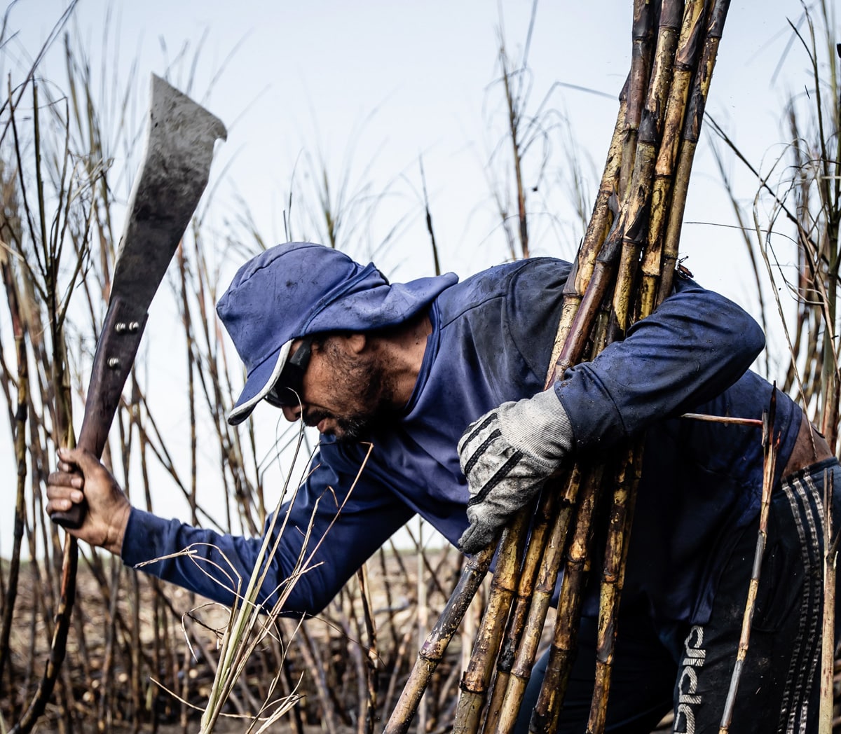 La machette : les différents types et usages, son histoire et origine